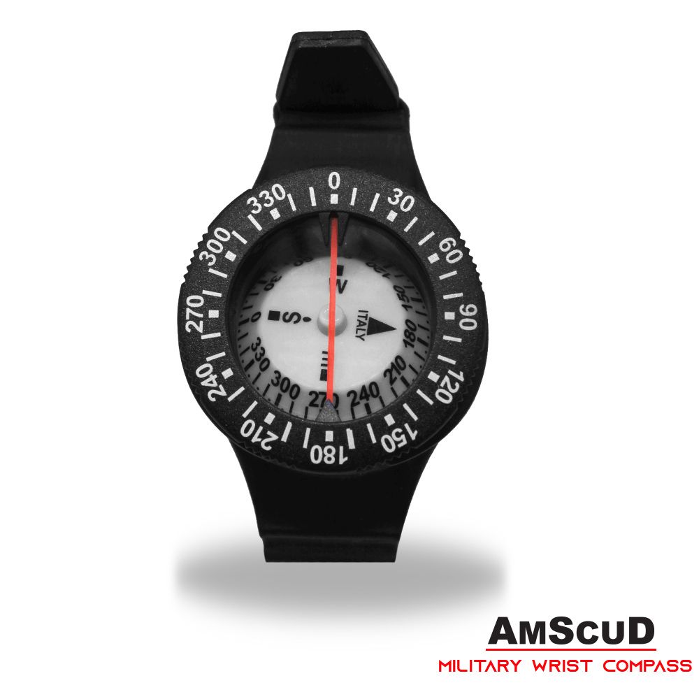AMSCUD